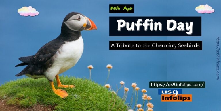Celebrating Puffin Day: A Tribute to the Charming Seabirds - US9 Infolips.